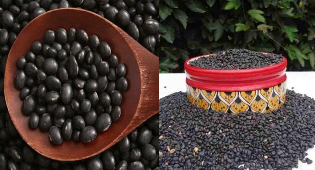 Uttarakhand: Bhatt Dal, the best source of protein - The Better Uttarakhand